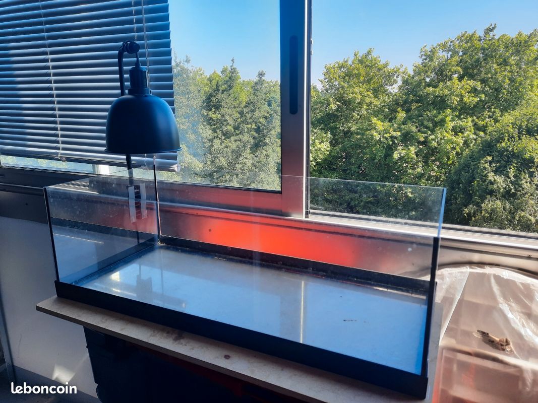 Terrarium/vivarium et lampe chauffante - Accessoires animaux