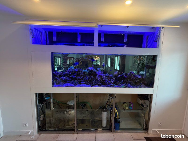 Recifal Aquarium 1200L - Complet - Décoration
