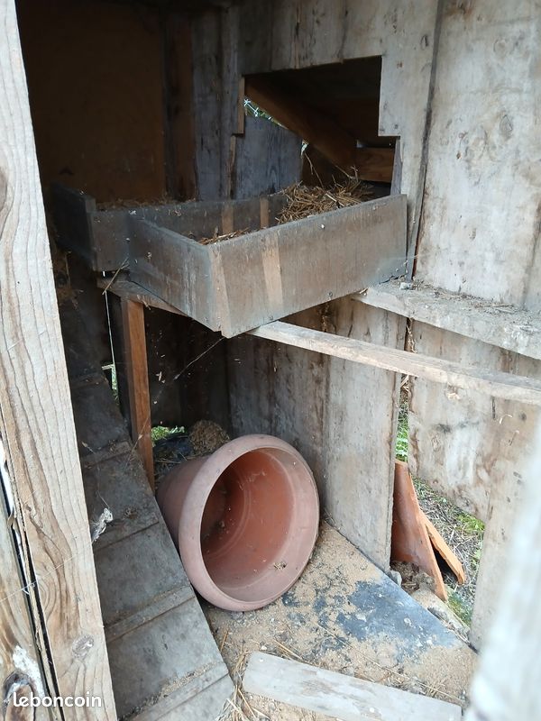 Poulailler xxl - Accessoires animaux