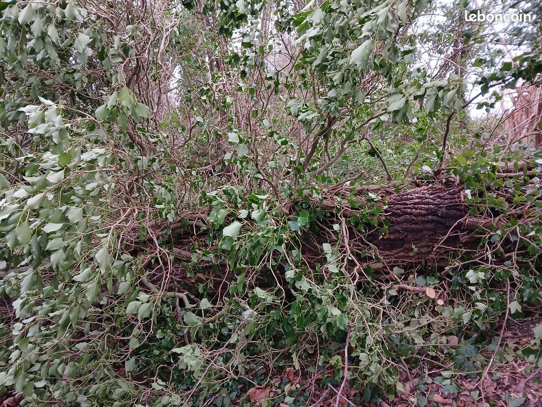 Bois de chauffe - Bricolage