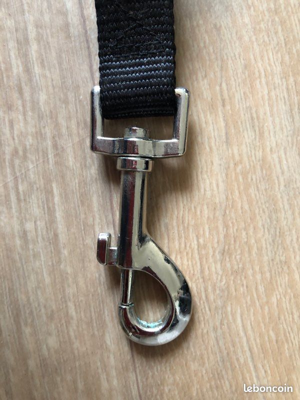 Attache chien - Équipement auto