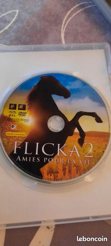 flicka 1 dvd