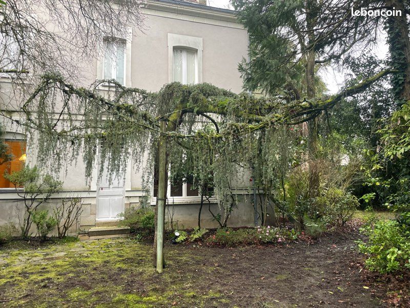 Grand Arbre conifère pleureur décoratif - Jardin & Plantes