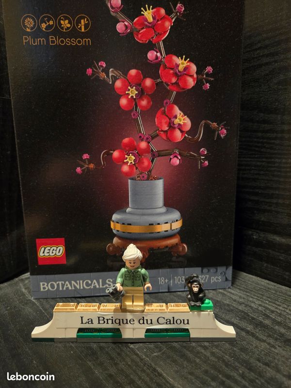 LEGO Botanical Collection 10369 La Fleur de prunier - Jeux & Jouets