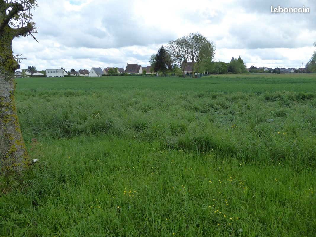 Terrain 1.4Ha sur UZa en Normandie Eure 27 proche des Andelys - Ventes ...
