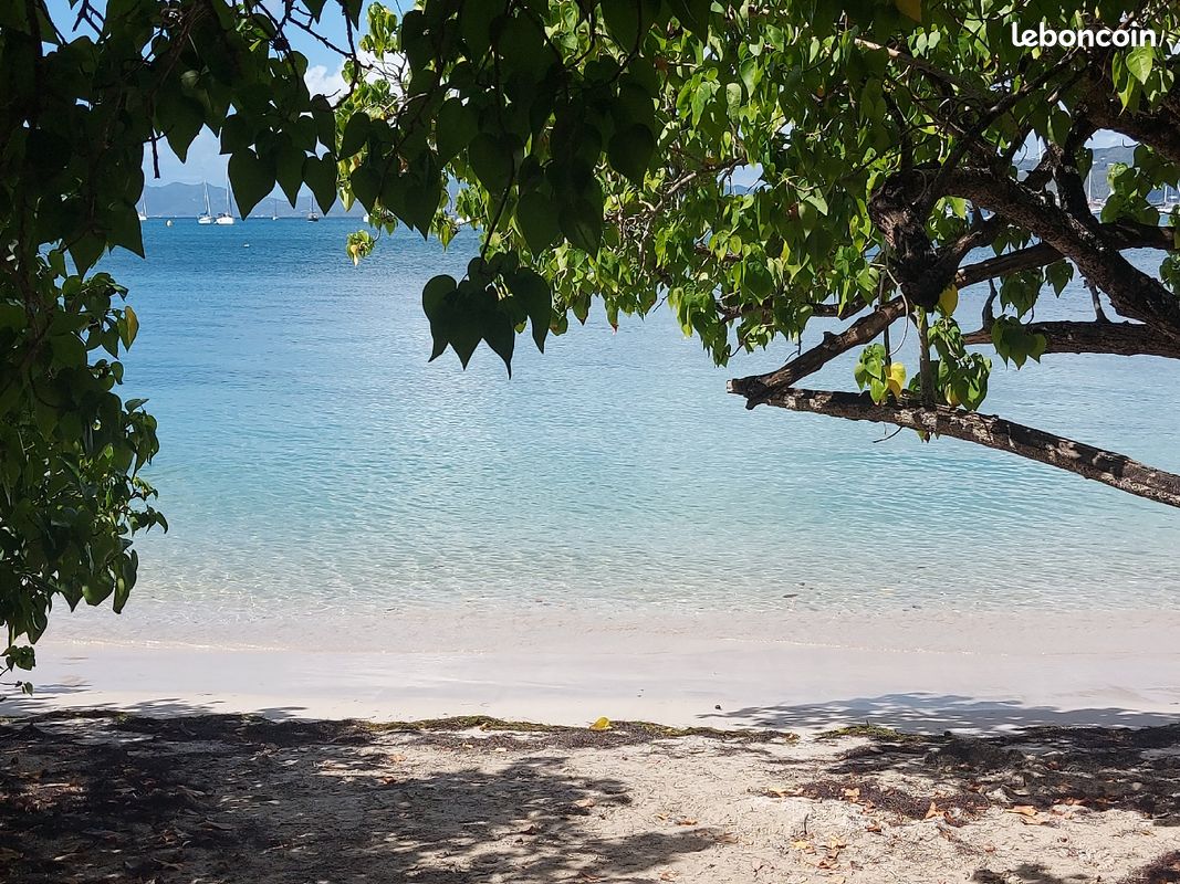 TROIS ILETS Anse Mitan Magnifique Vue Mer à 180 ° - Locations saisonnières