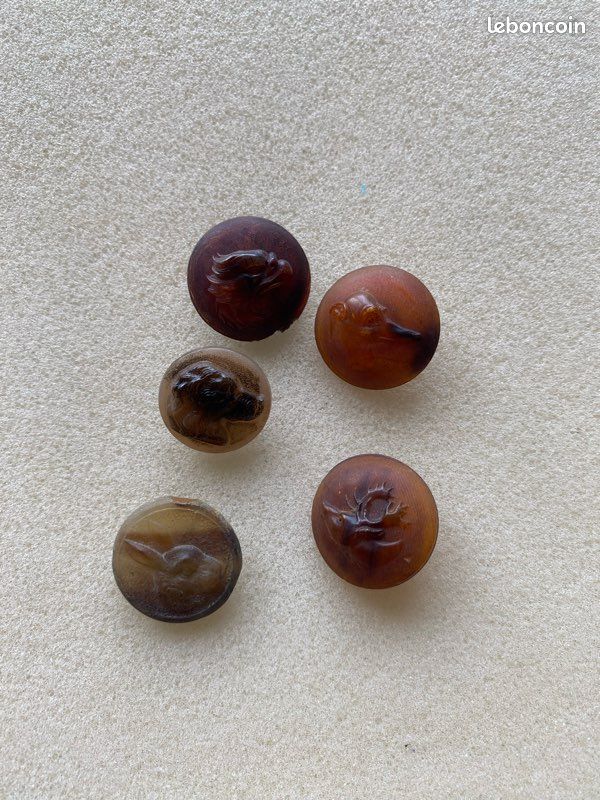 Ancien bouton de chasse - Collection