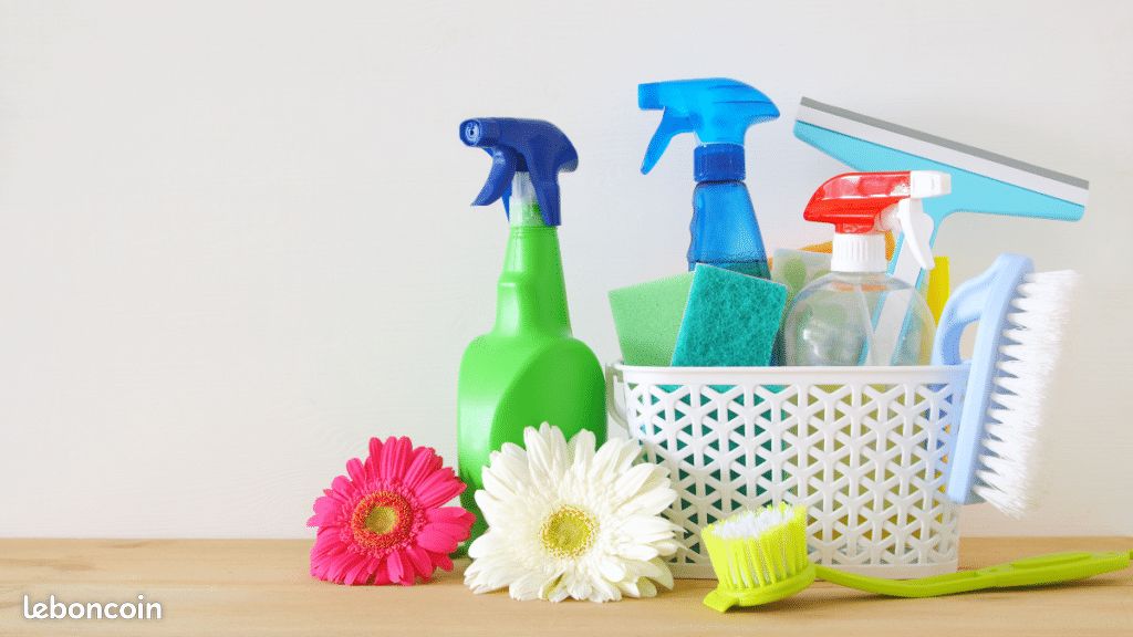 Homme multiservices - Services à la personne