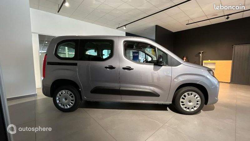 Opel Combo Cargo Véhicule utilitaire ou Société BlueHDi 100ch S&S ...