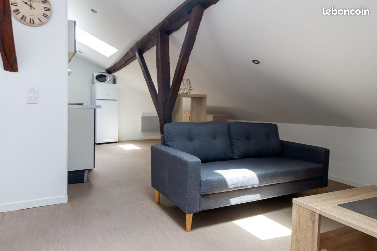 Limoges : Superbe appartement de type loft (grand T2) proche de la ...