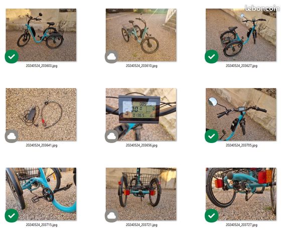 Tricycle damius evasion d'occasion - Vélos - leboncoin