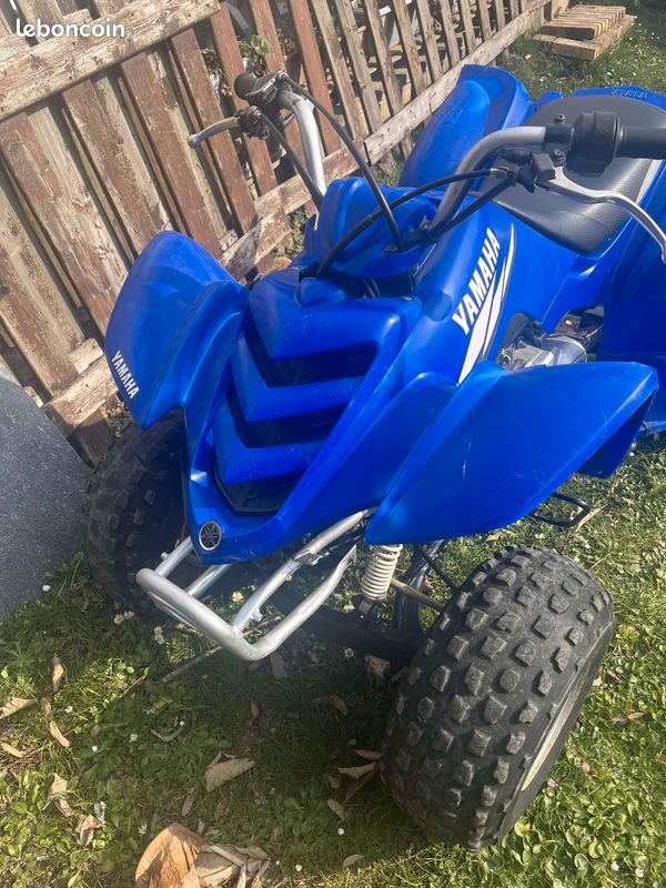 80 raptor - Motos