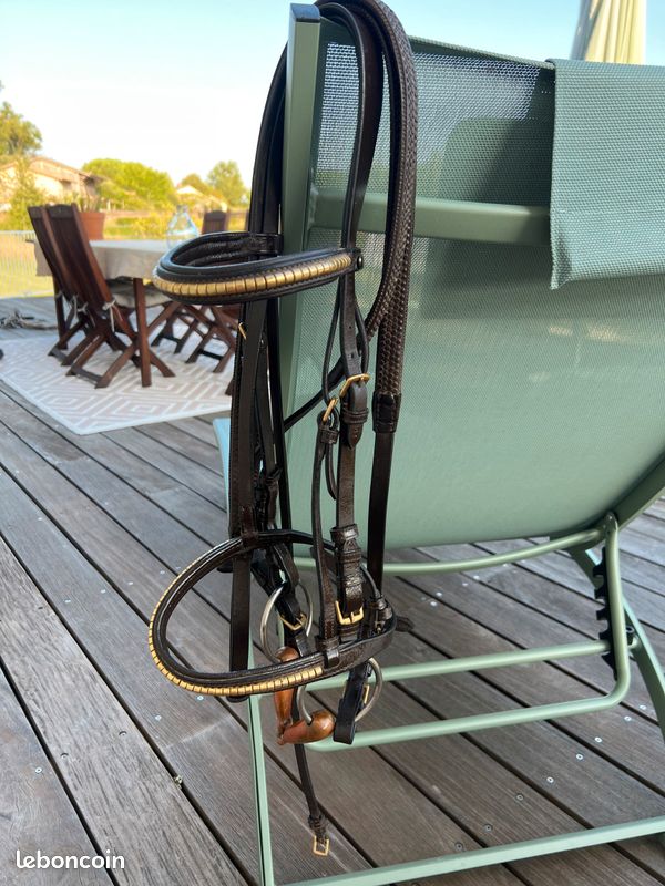 Filet poney équipé - Sport & Plein air