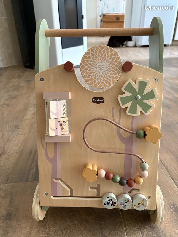 Chariot de marche / Pousse pousse - Jeux & Jouets