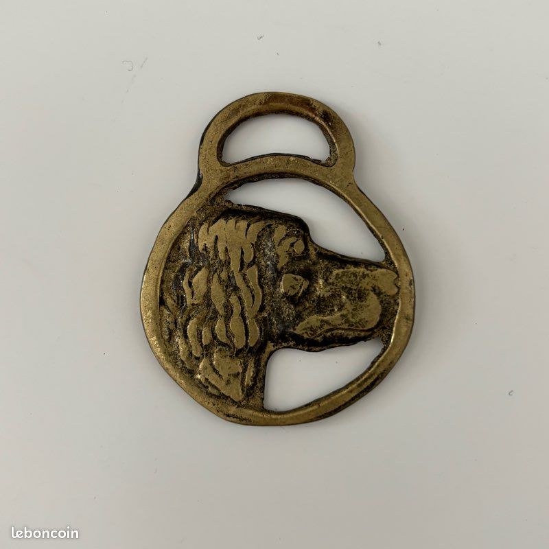 Médaillon de harnais de cheval en laiton - Collection