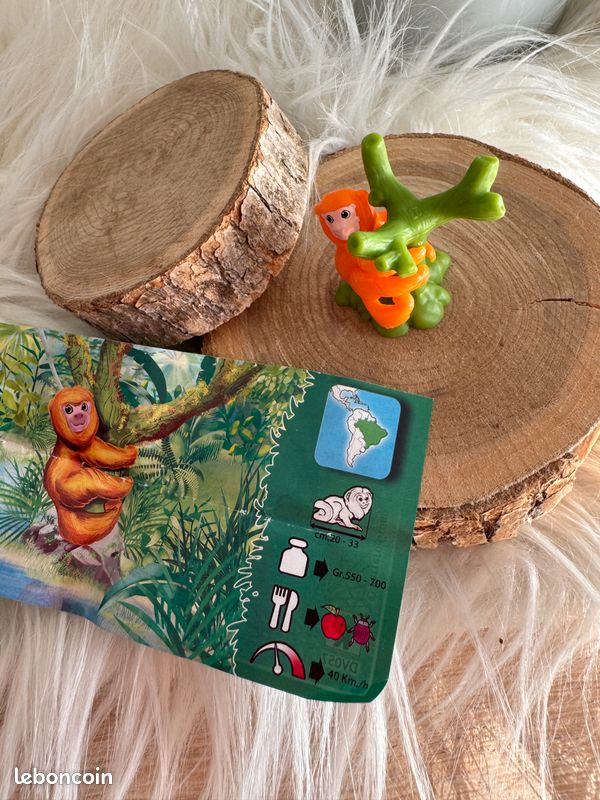 Natoons Kinder Singe - Collection