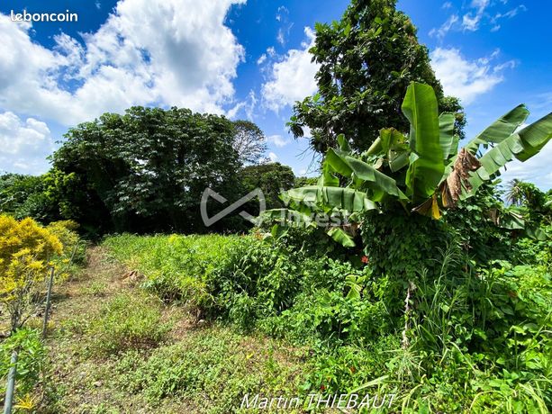 Maison à vendre et vente appartement Martinique - leboncoin