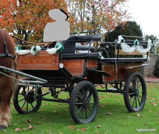 Charette cheval d'occasion - Sport & Plein air - leboncoin