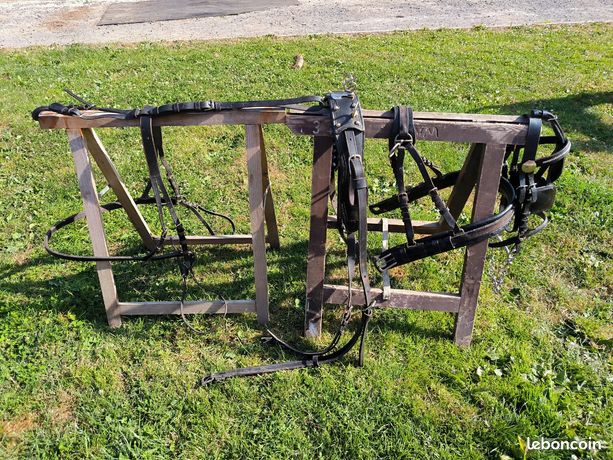 Charette cheval d'occasion - Sport & Plein air - leboncoin