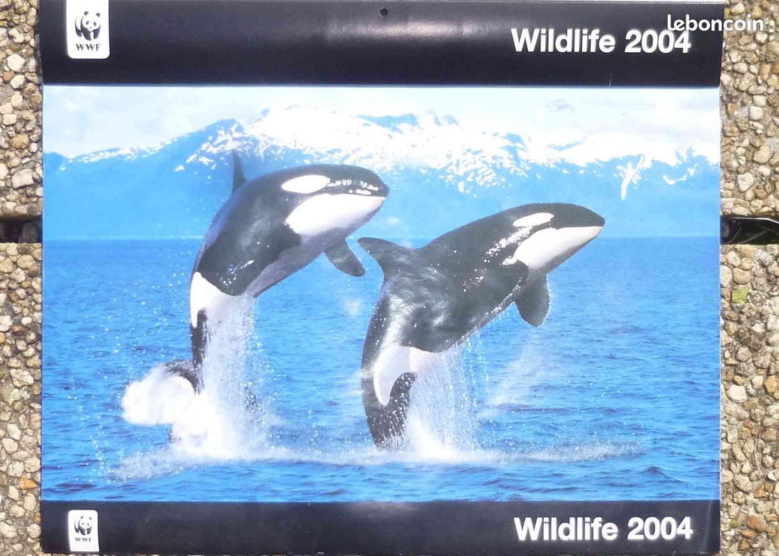 Calendrier 2004 WWF - Collection