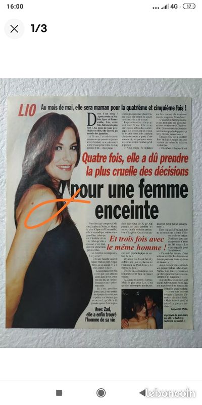 Lot 1 coupures de presse Lio collection - Collection