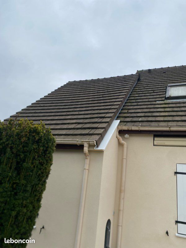 Nettoyer demousser toiture - Bricolage