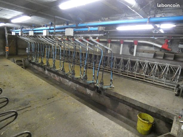 Machine a traire chevre d'occasion - Matériel agricole - leboncoin