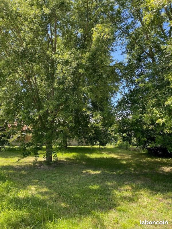 Terrain 630 m² La Teste De Buch - Ventes immobilières