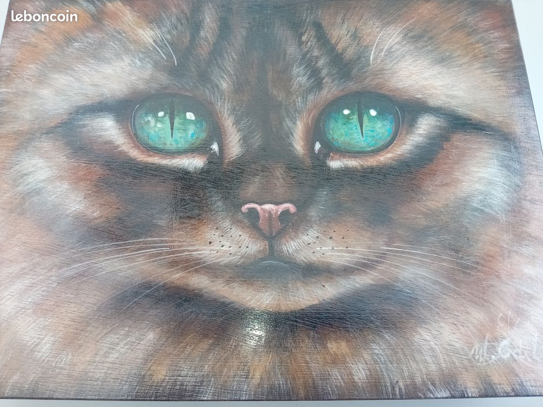 Boite en bois portrait chat signée - Collection