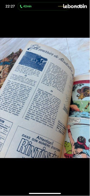 Rintintin et Rusty n°44 – Sagédition – BD vintage western – Années 70 - Livres