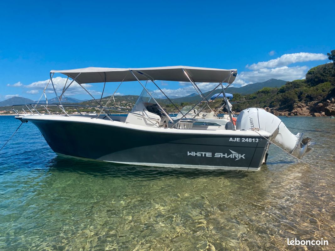 White shark 226 - Nautisme