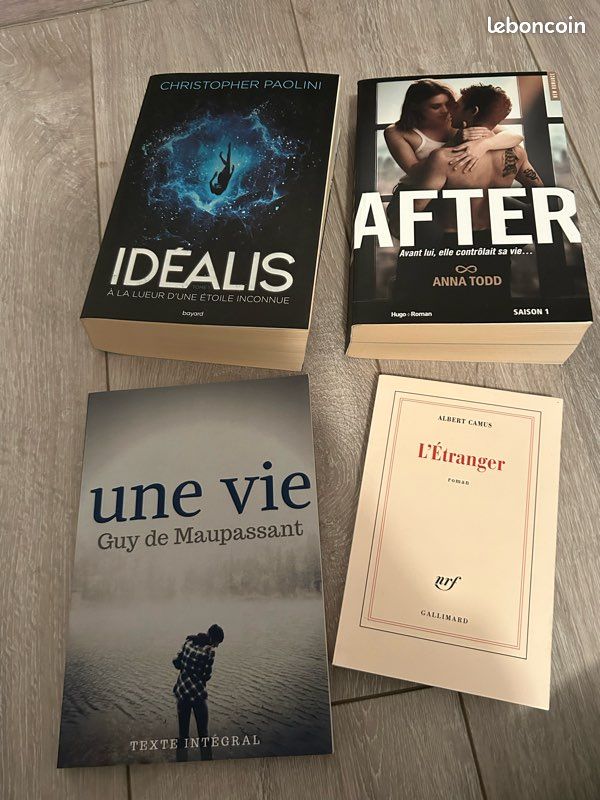 Lot de livre roman - Livres