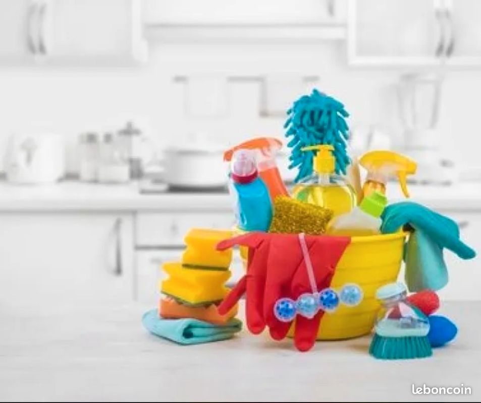 Femme de ménage - Services à la personne