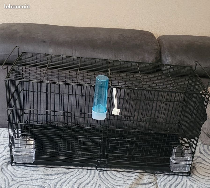 Cage élevage canaris - Accessoires animaux