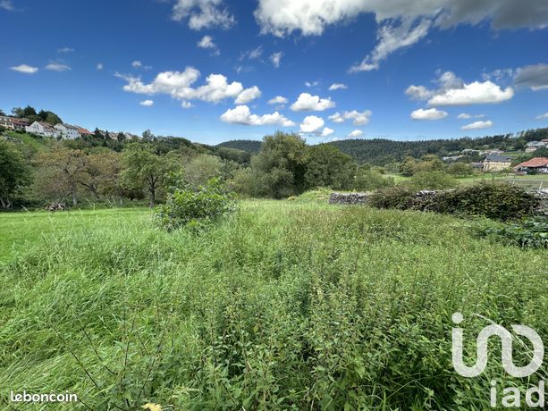 Maison à vendre et vente appartement Dabo (57850) - leboncoin