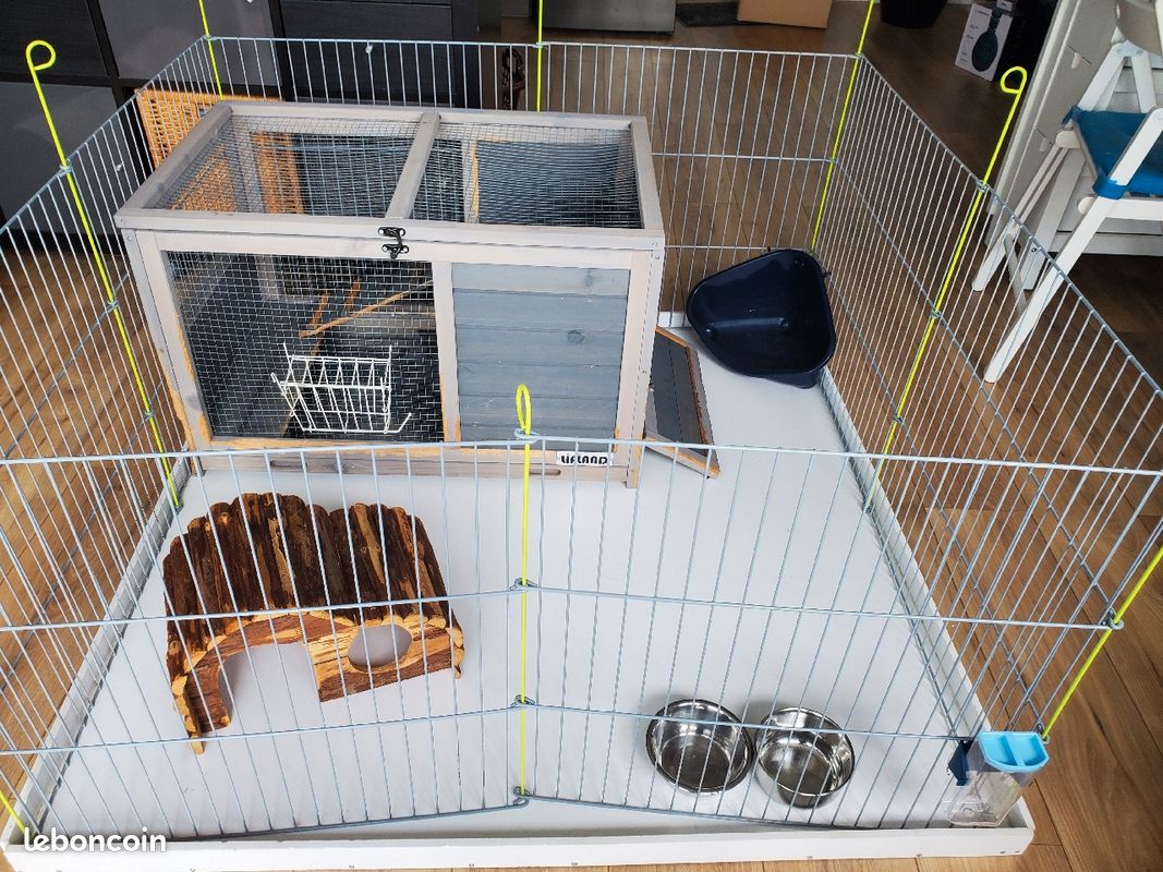 Don cage lapin et matériel - Accessoires animaux