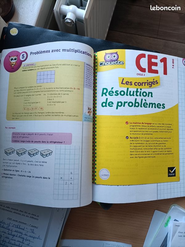 Maths Résolution de problème CE1 Chouette - Livres