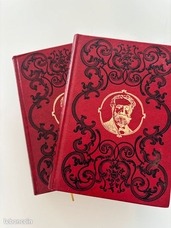 Jules Verne en deux volumes - Livres