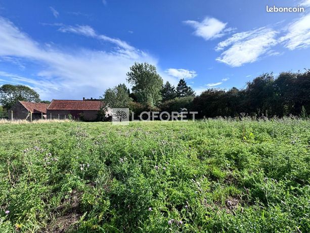 Maison à vendre et vente appartement Audruicq (62370) - leboncoin