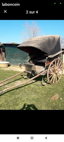 Charette cheval d'occasion - Sport & Plein air - leboncoin