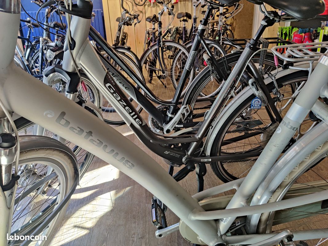 Vélo hollandais Trek Daytona - Vélos