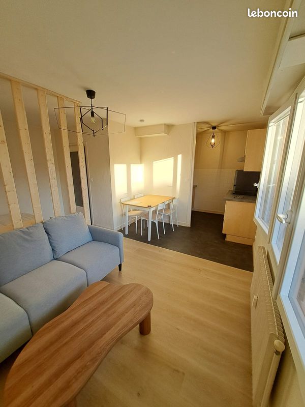 Grand T1 Bis meublé et lumineux - centre ville - Locations