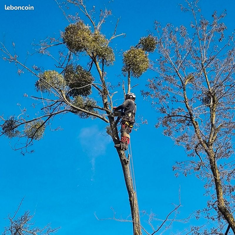 Entretien espace vert - Services de jardinerie & bricolage