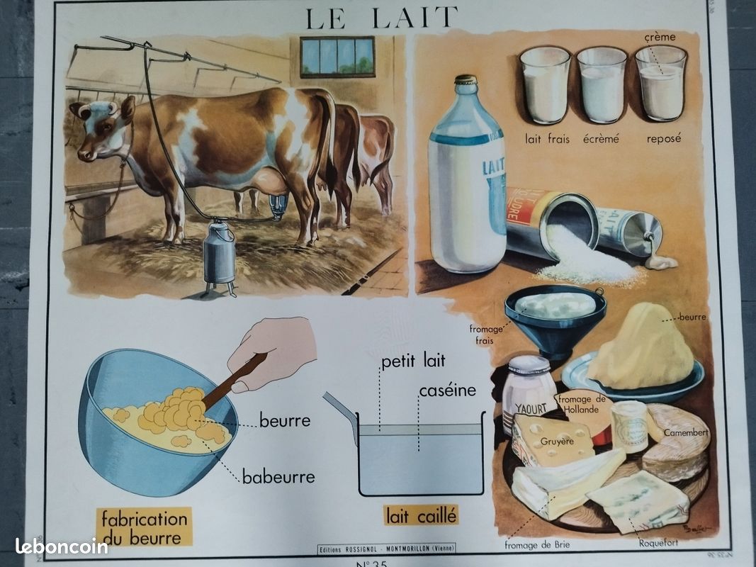 Affiche poster rétro vintage décoration murale sciences lait sel ...
