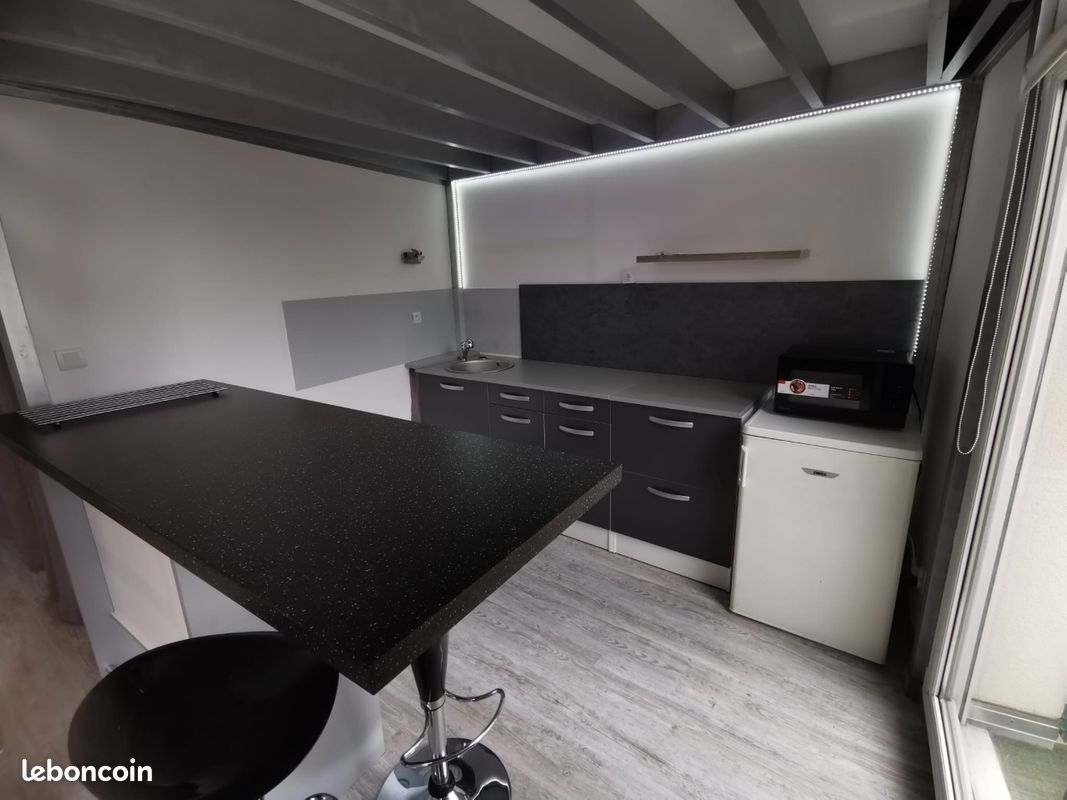 Appart 28m2 +mezzanine 12m2, + bacon plein sud + parking - Locations