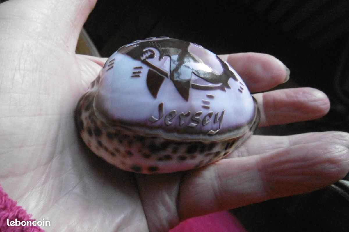 Coquillage taillé en camée, inscription JERSEY décoré d'une baleine ...