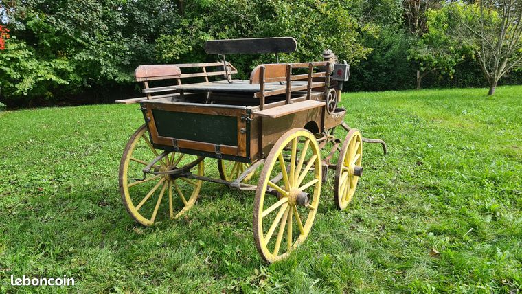 Calèche -Sport & Plein air d'occasion - leboncoin