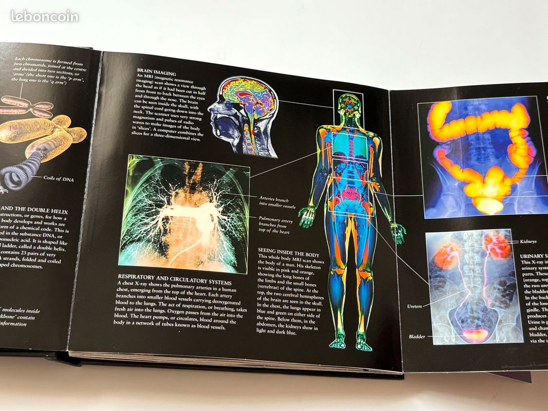 HUMAN BODY - pop-up book - NATURAL HISTORY MUSEUM - Livres