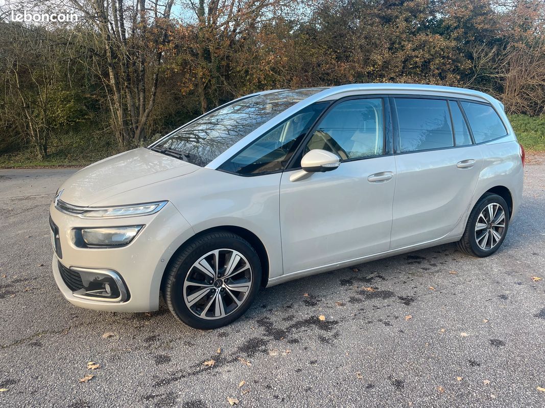 Citroen grand c4 Picasso 1.6 bluehdi 120 cv feel EAT6 - Voitures