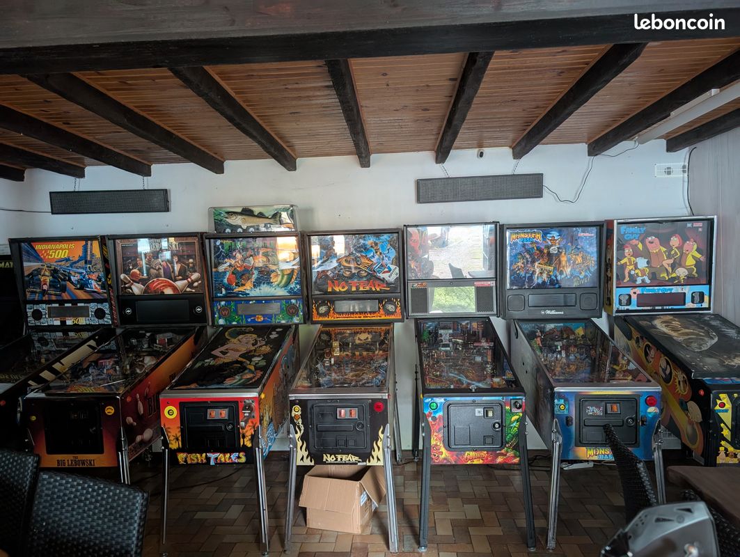 Flippers - Jeux & Jouets